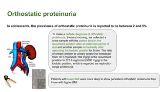 PROTEINURIA VS ALBUMINURIA DIFERENCIAS Y VENTAJAS | PPTX