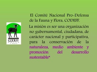 Protejamos a nuestros animales y plantas. | PPT