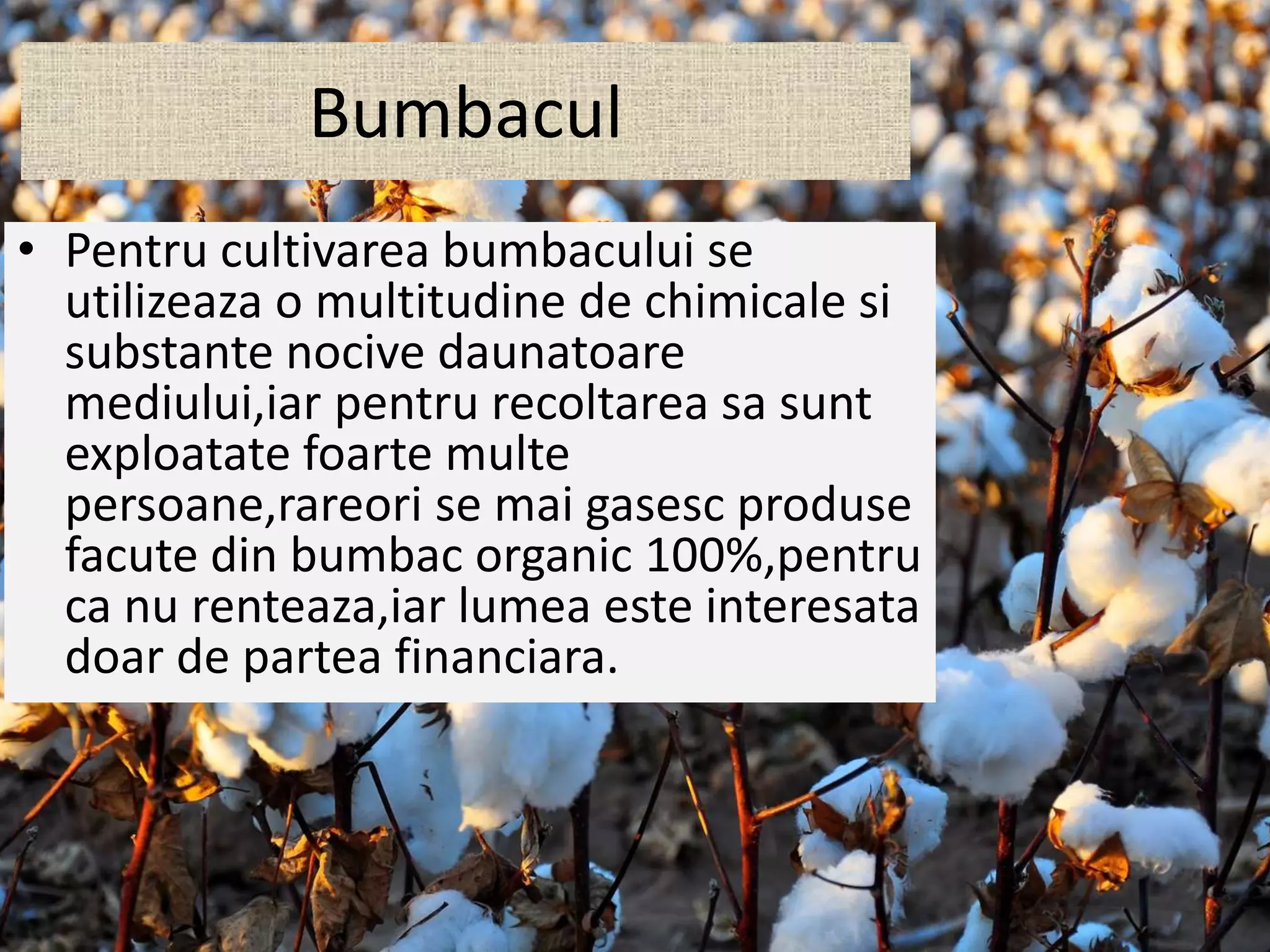 Protejarea mediului | PPTX