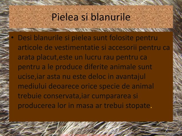 Protejarea mediului | PPTX