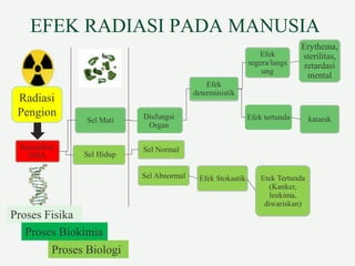 PROTEKSI RADIASI INDI (1).ppt