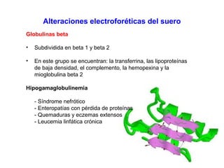 Proteínas | PPT