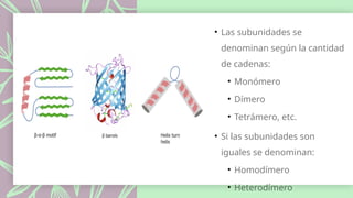 Proteínas Presentacion medicina nutricion | PPTX