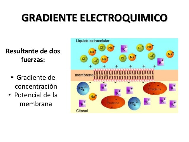 BALONCESTO Y OTRAS COSAS MAS
