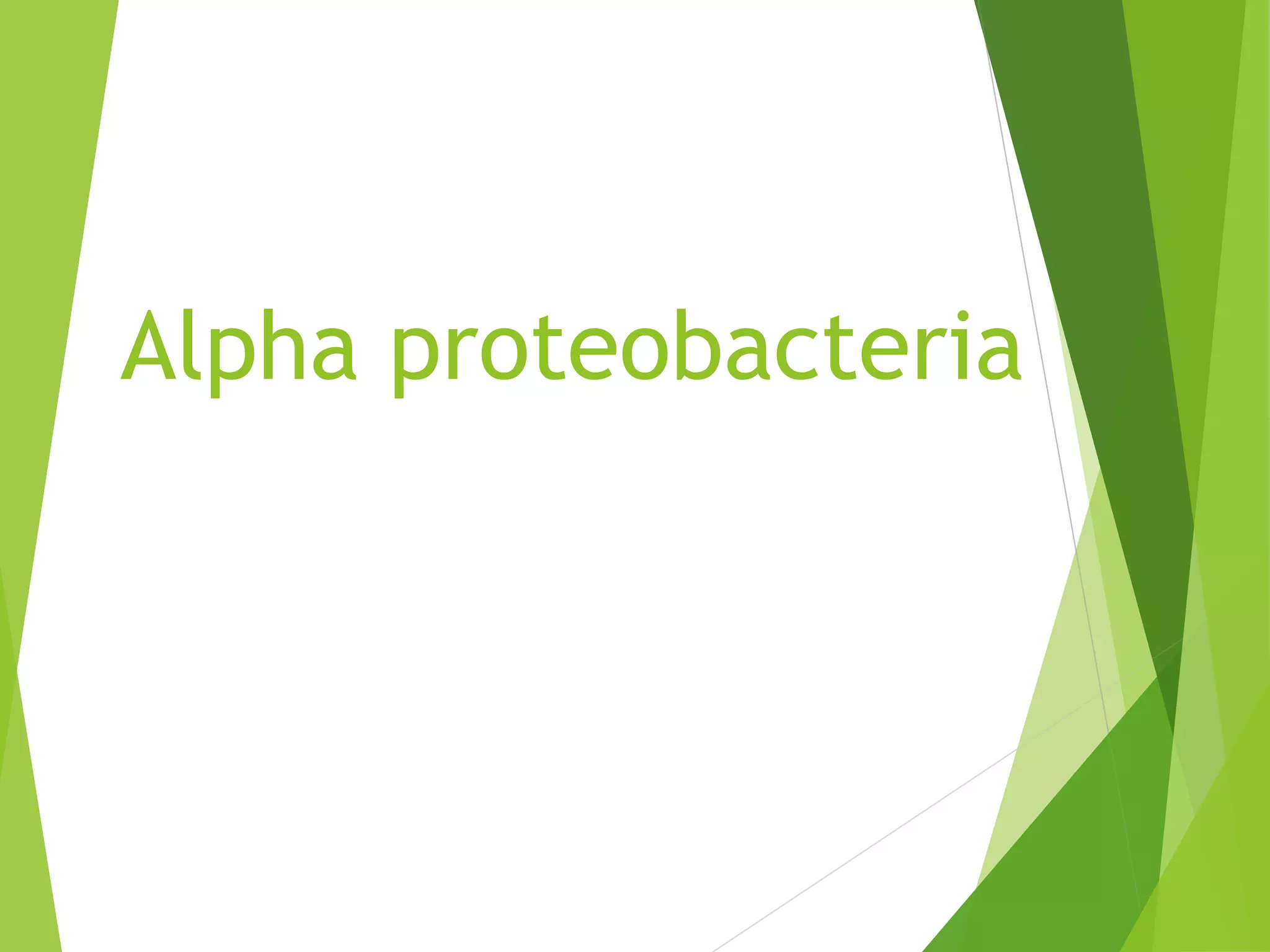 Proteobacteria | PPTX