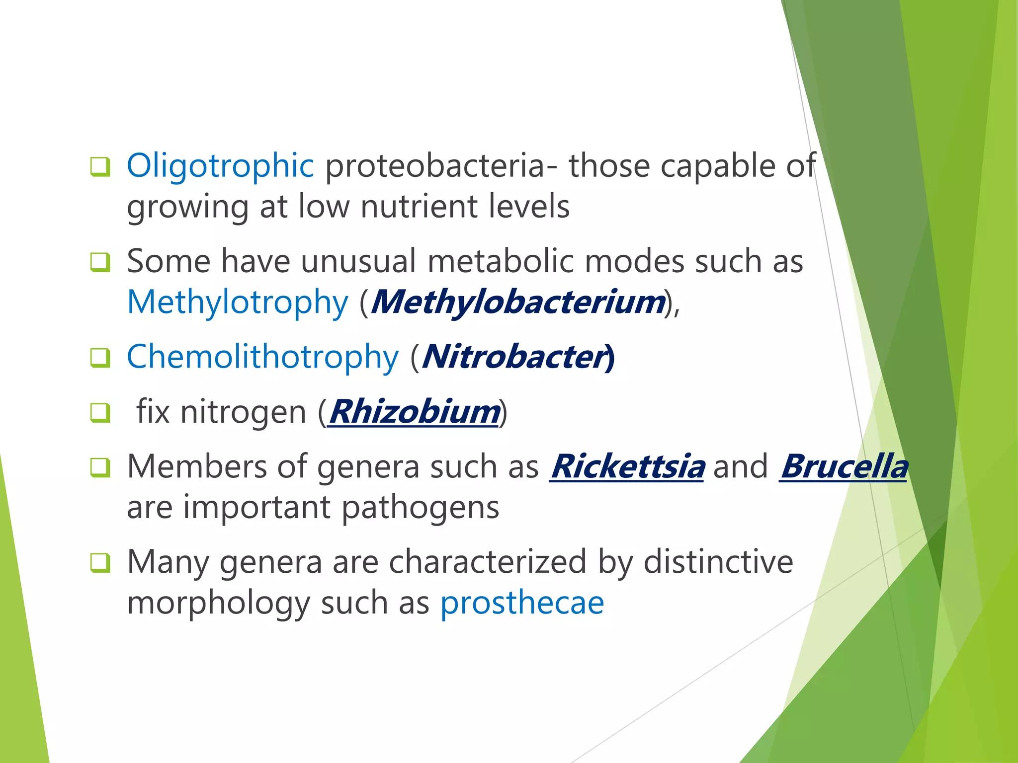 Proteobacteria | PPTX