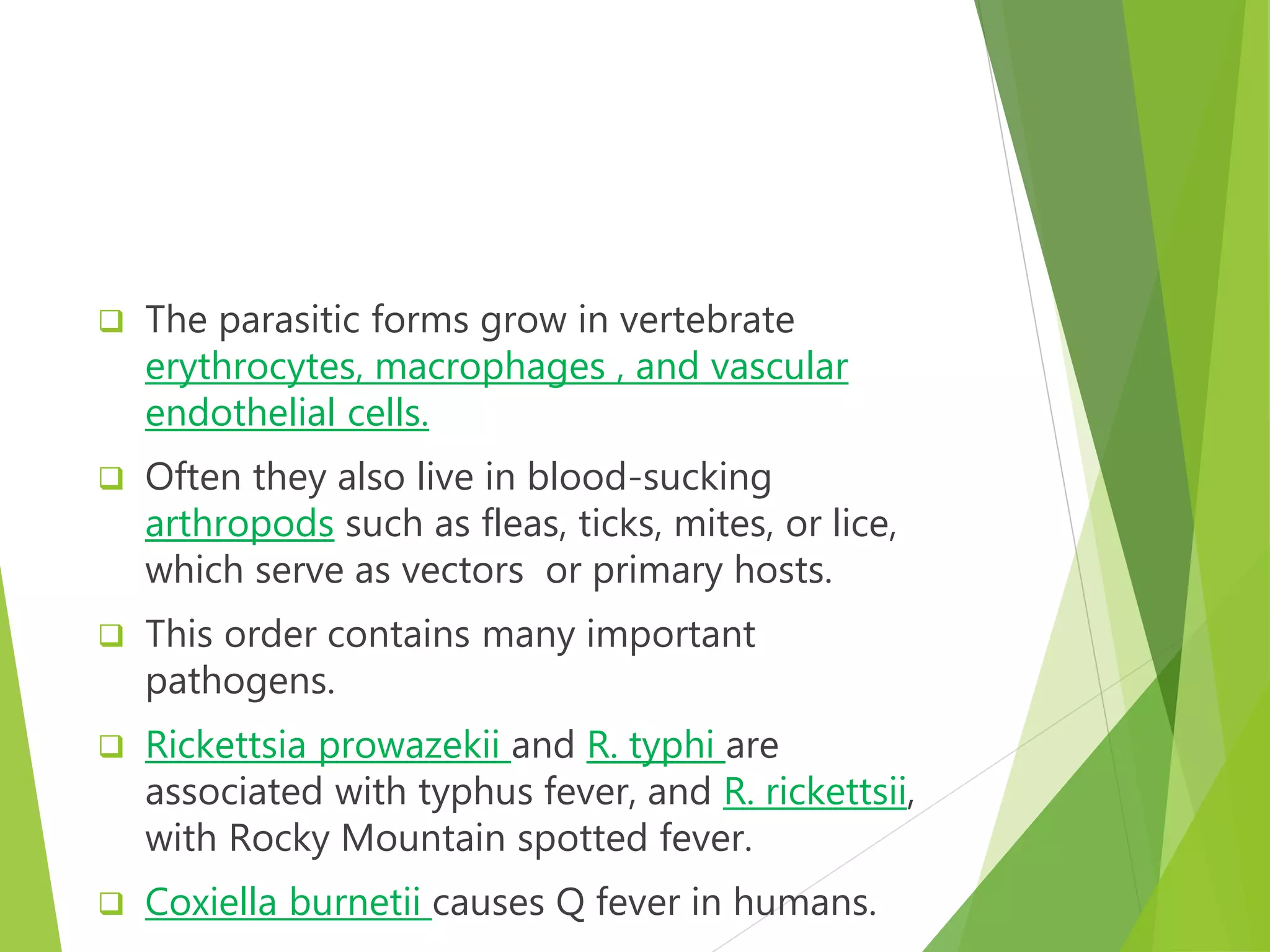 Proteobacteria | PPTX