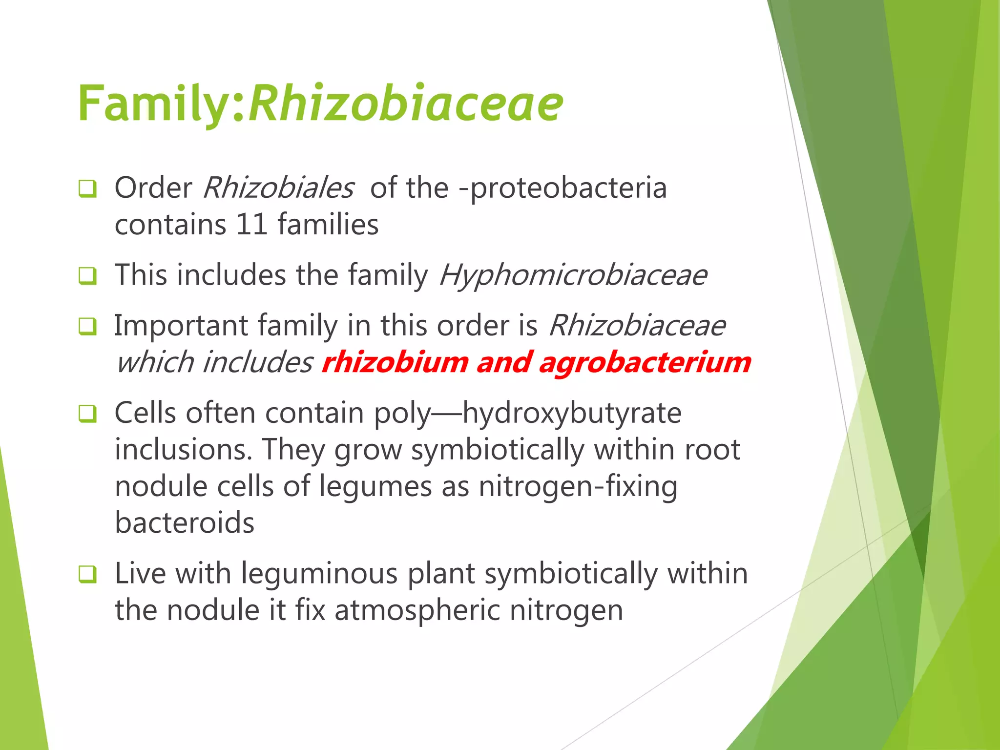 Proteobacteria | PPTX