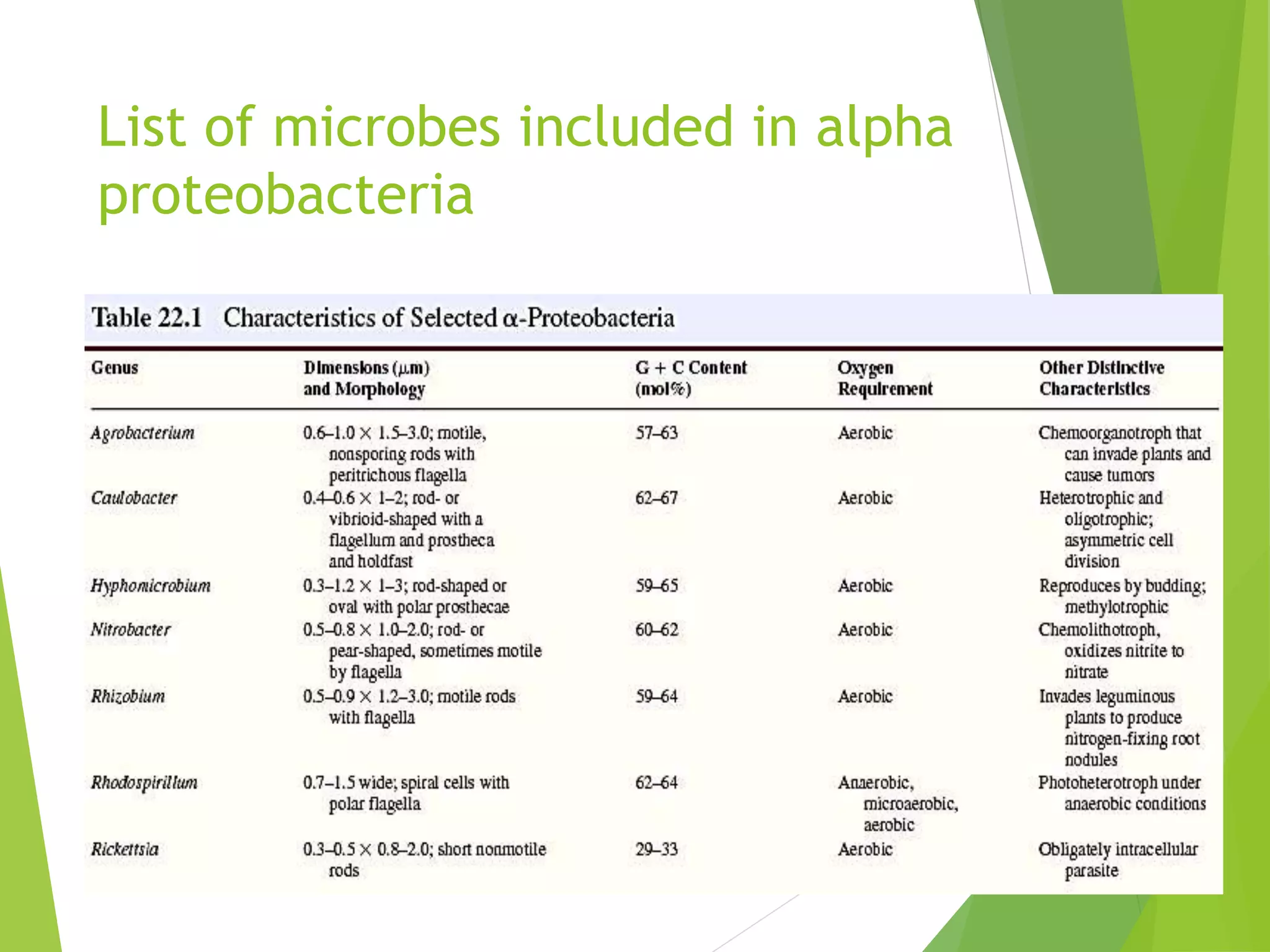 Proteobacteria | PPTX