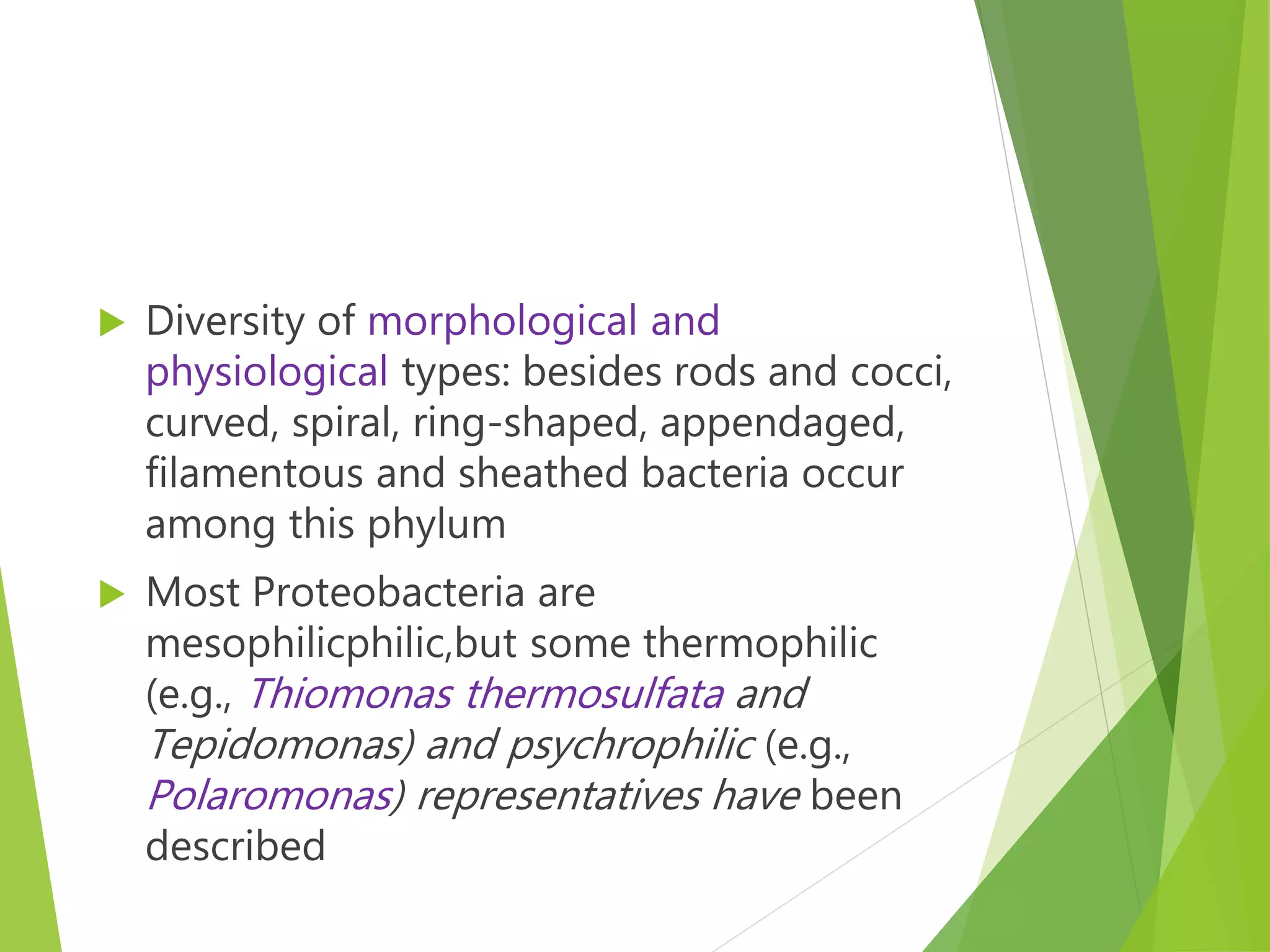 Proteobacteria | PPTX