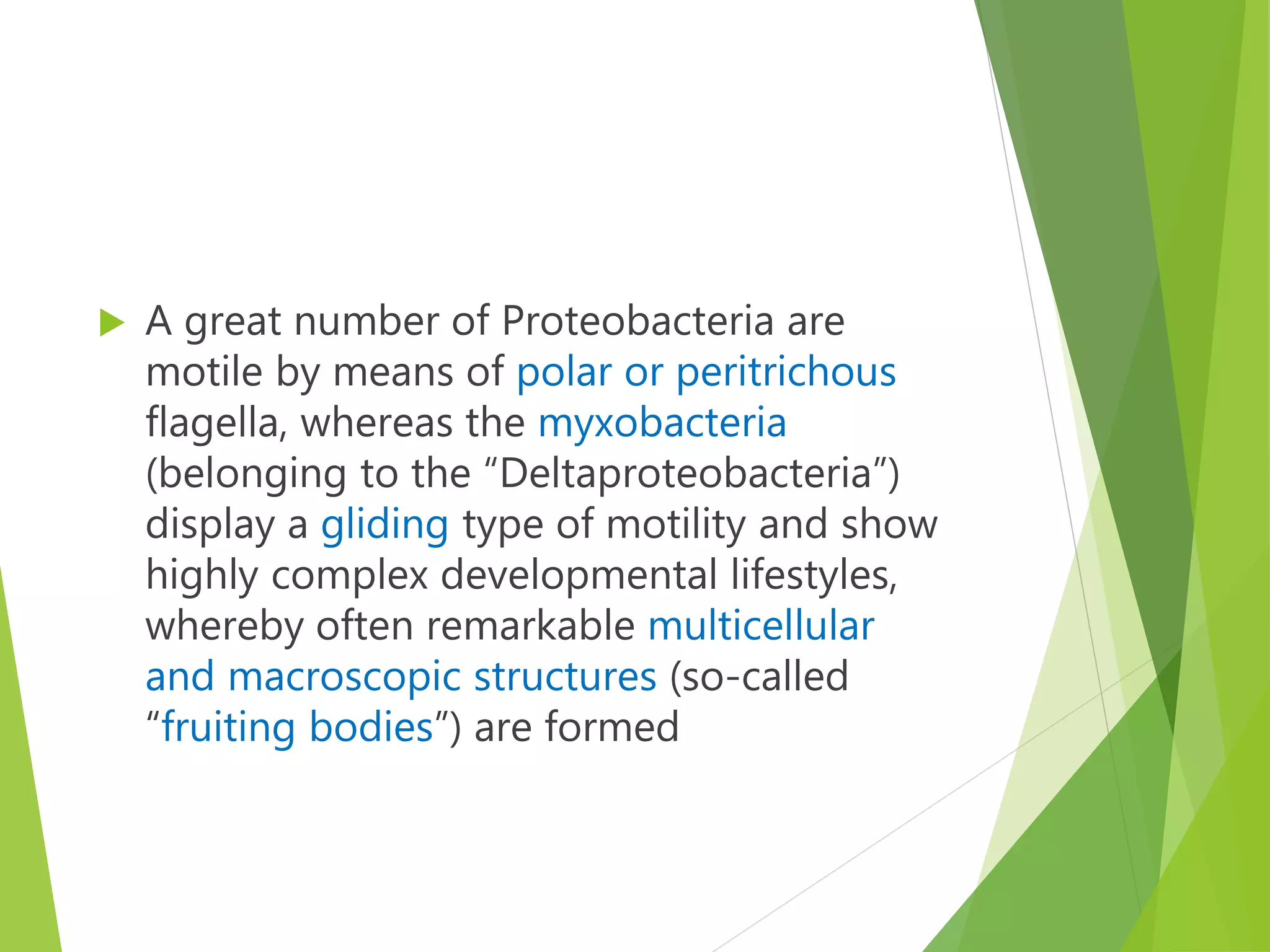 Proteobacteria | PPTX