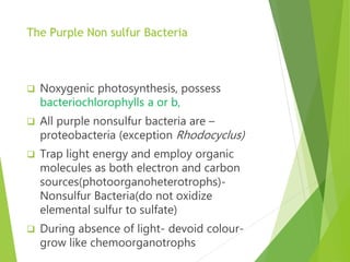 Proteobacteria | PPTX