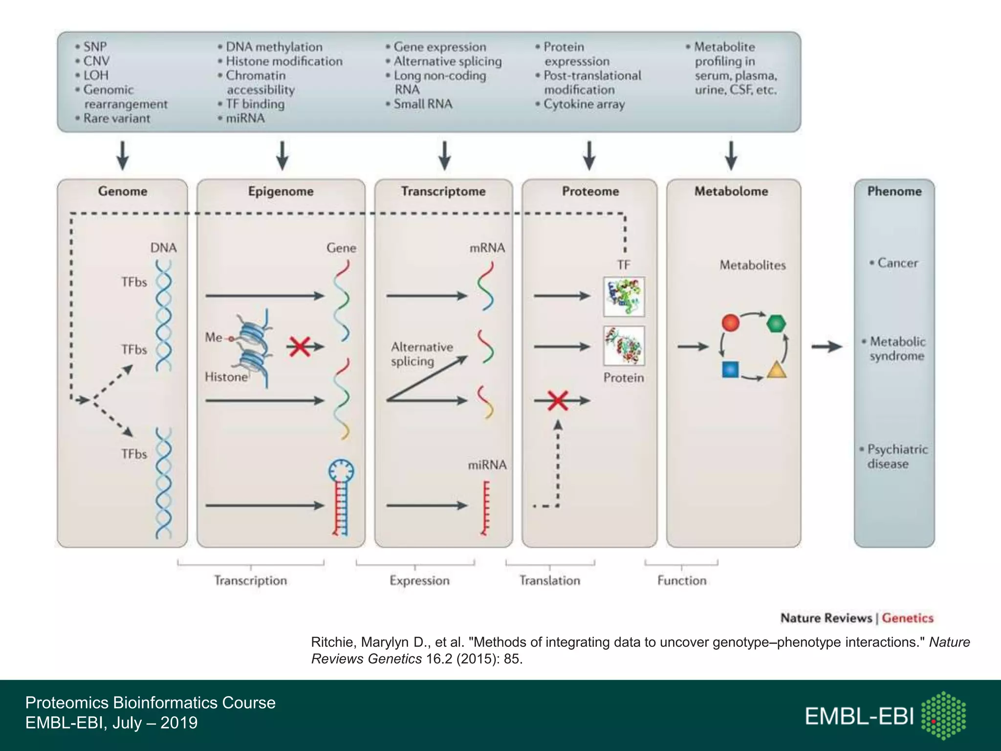 Introduction to Proteogenomics | PPTX