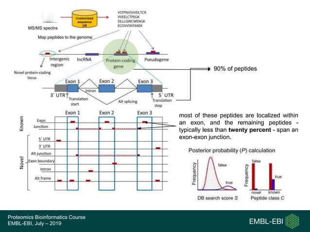 Introduction to Proteogenomics | PPTX | Databases | Computer Software and Applications