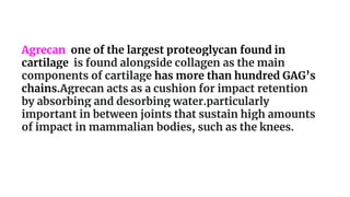 Proteoglycans | PPTX