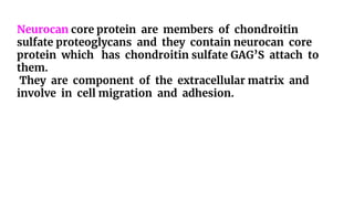 Proteoglycans | PPTX