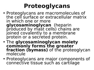 Proteoglycans sb | PDF