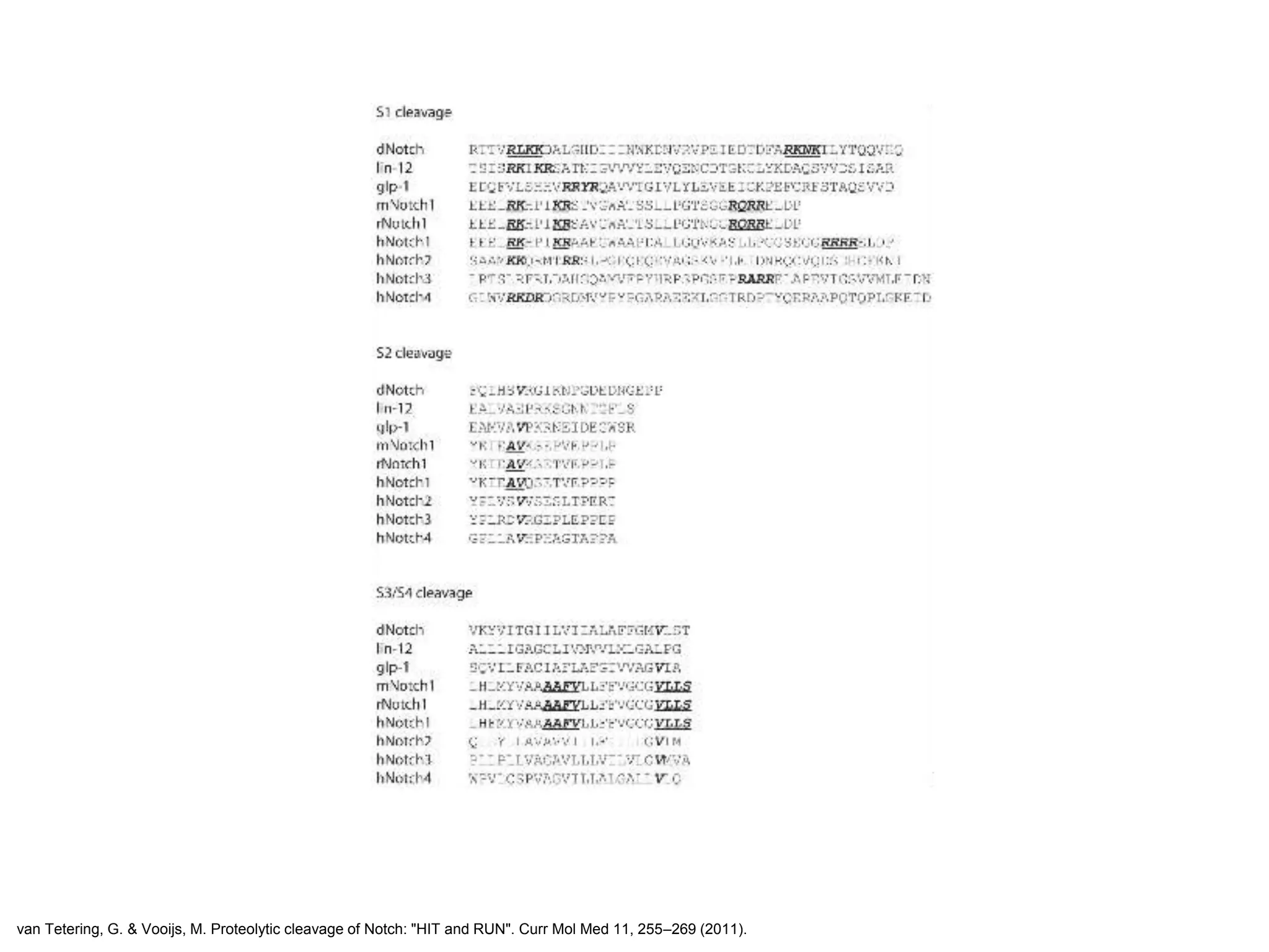 proteolyc.pptx | Chemistry | Science