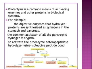 Proteolysis 1 | PPTX