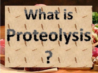 Proteolysis | PPTX