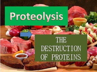 Proteolysis | PPTX