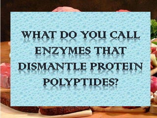 Proteolysis | PPTX