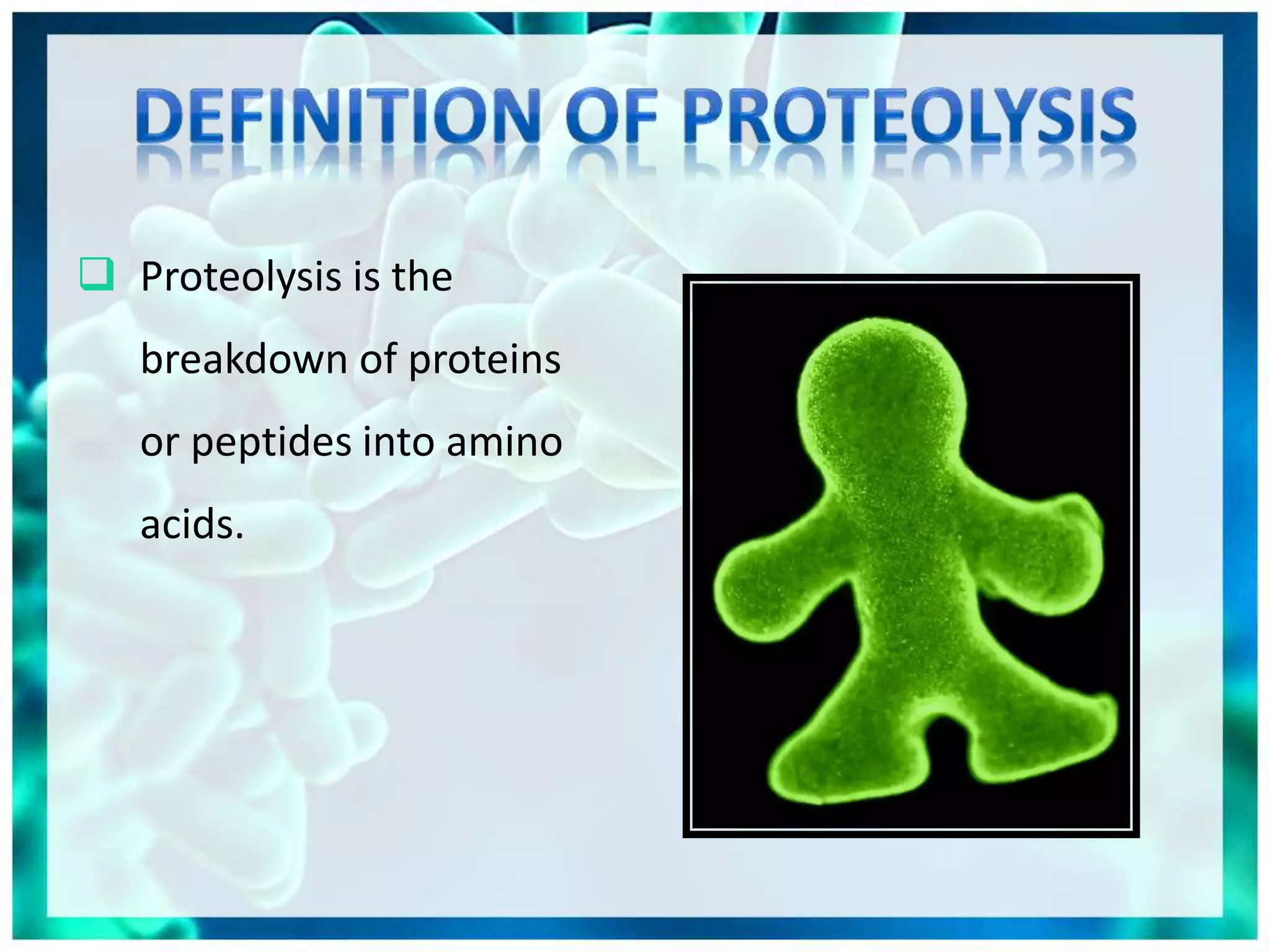 Proteolysis | PPTX