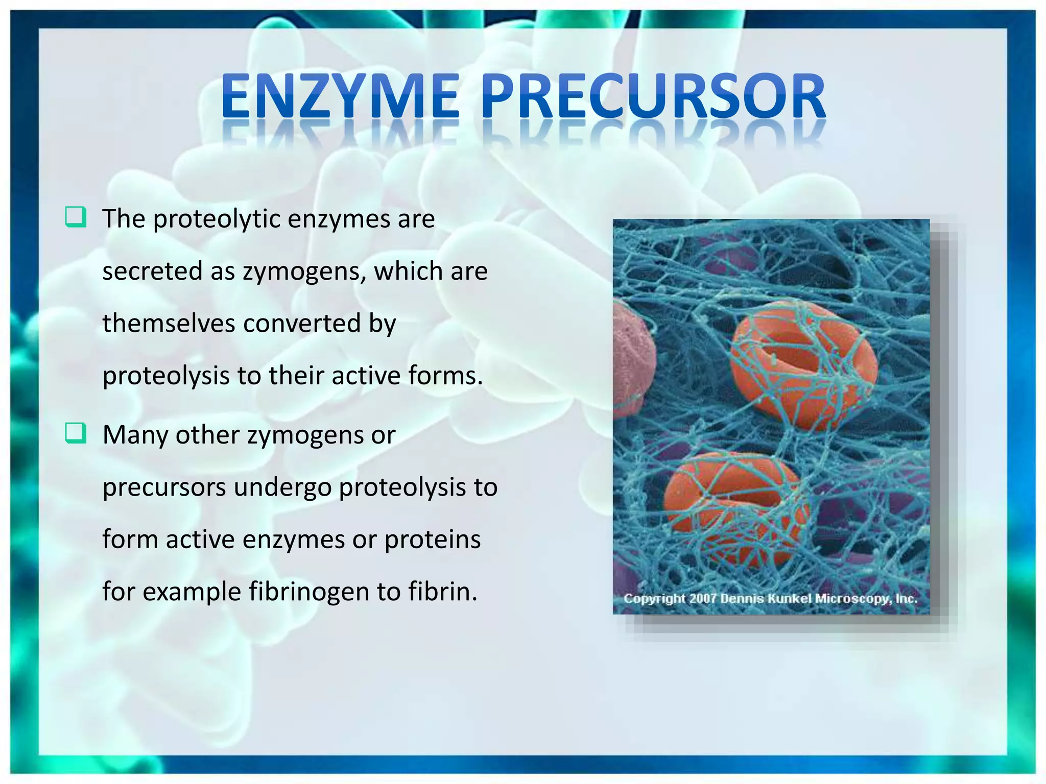 Proteolysis | PPTX