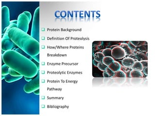 Proteolysis | PPTX