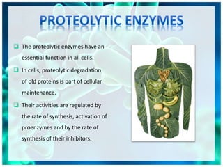 Proteolysis | PPTX