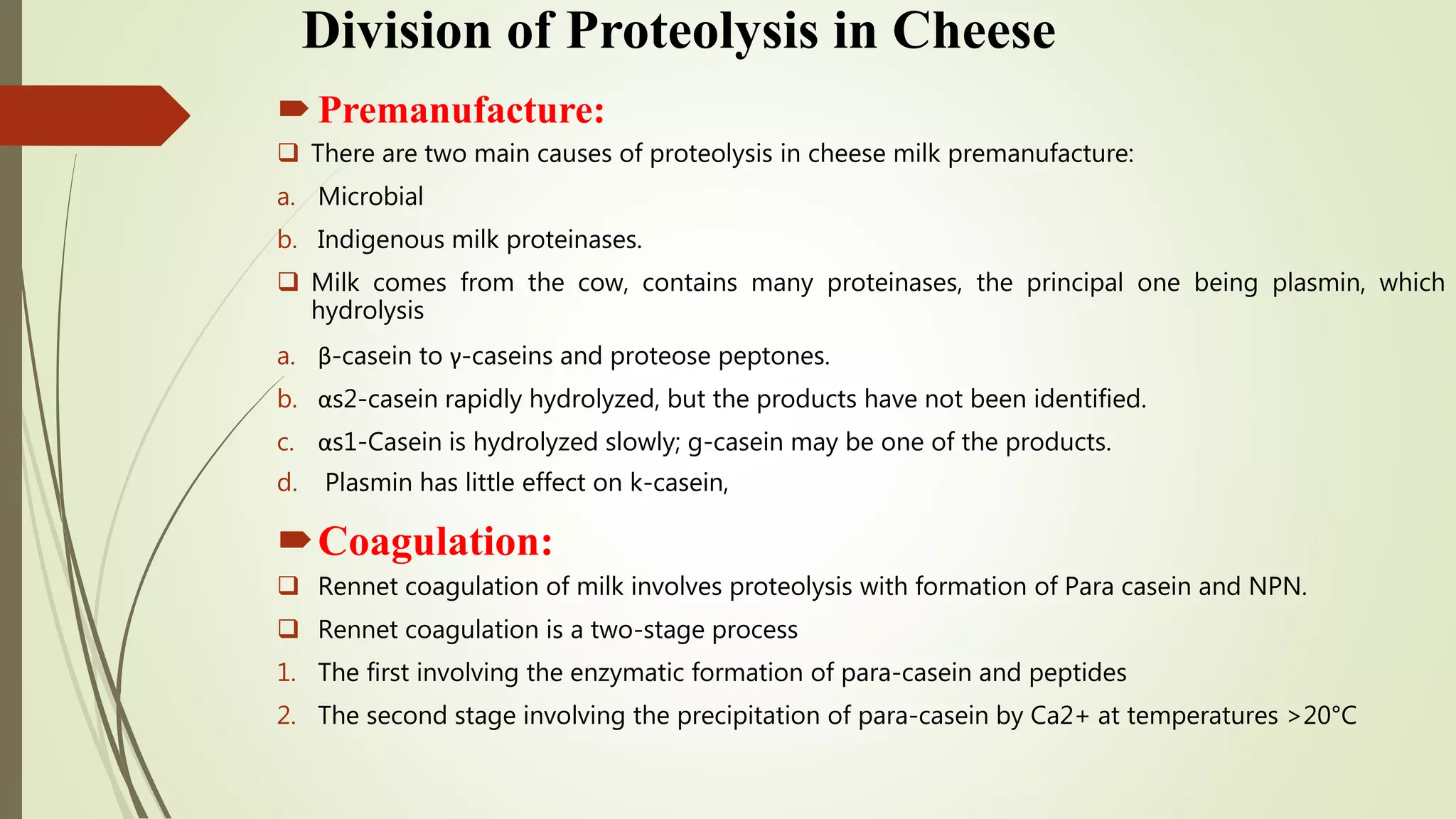 Proteolysis during cheese manufacture and ripening | PPTX