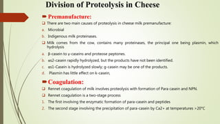 Proteolysis during cheese manufacture and ripening | PPTX