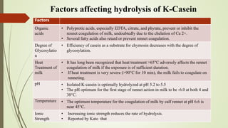 Proteolysis during cheese manufacture and ripening | PPTX