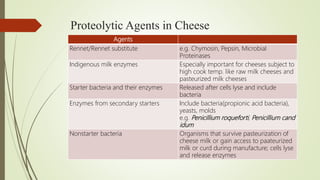 Proteolysis during cheese manufacture and ripening | PPTX