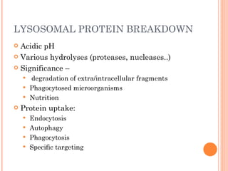 Proteolysis, protein degradation and turnover | PPT