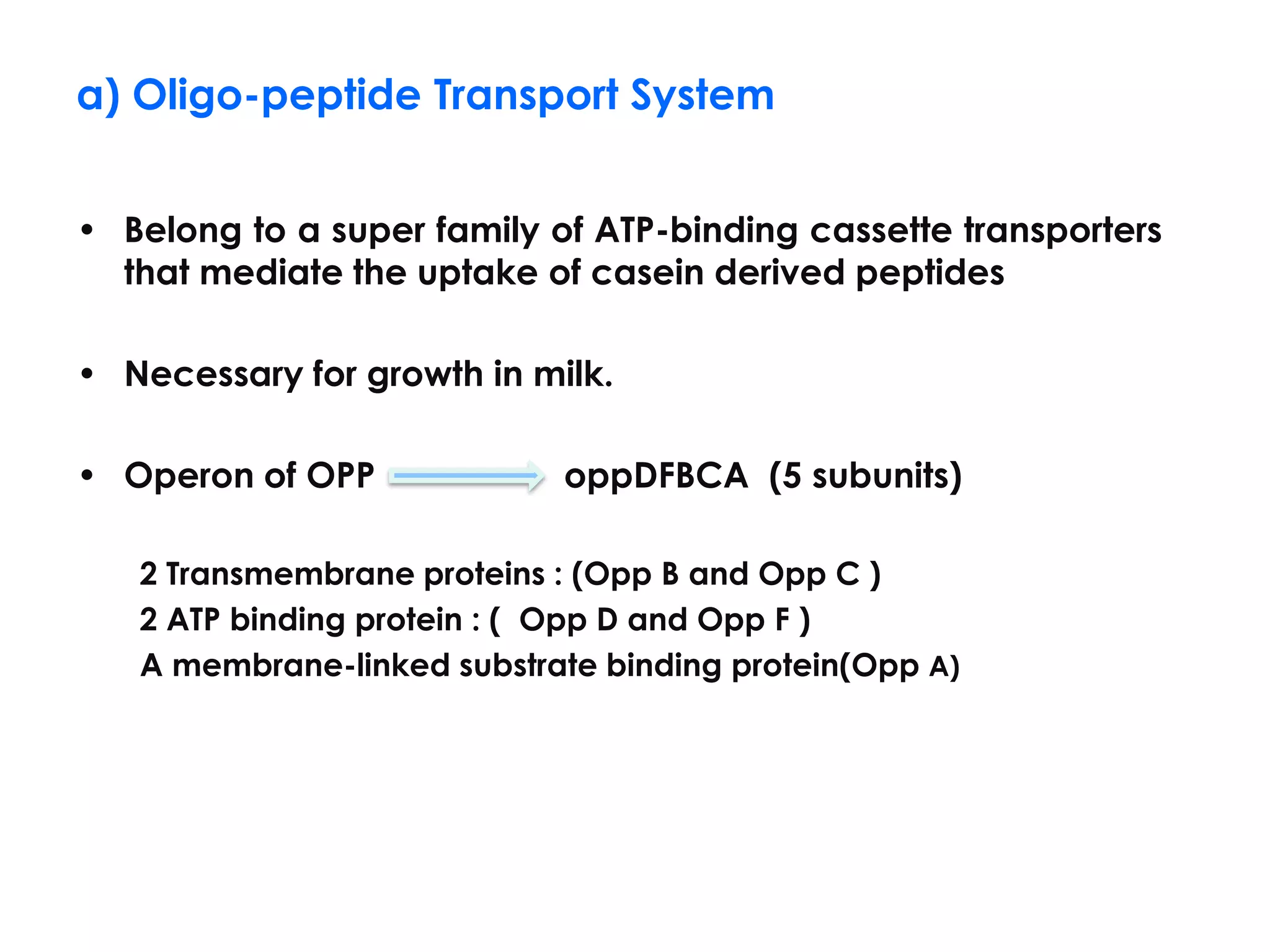 Proteolytic systems in lactic acid bacteria | PPTX