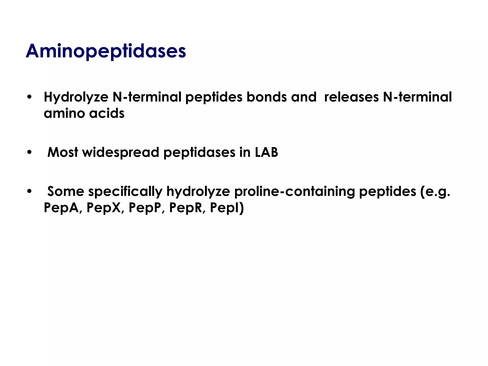 Proteolytic systems in lactic acid bacteria | PPTX