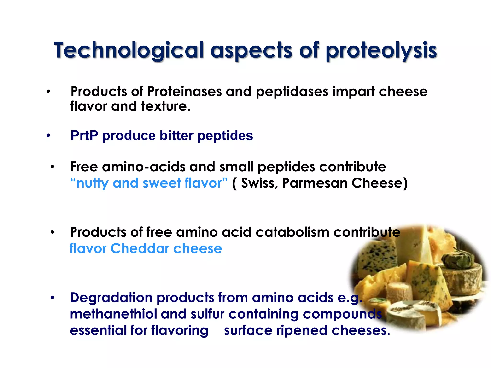 Proteolytic systems in lactic acid bacteria | PPTX