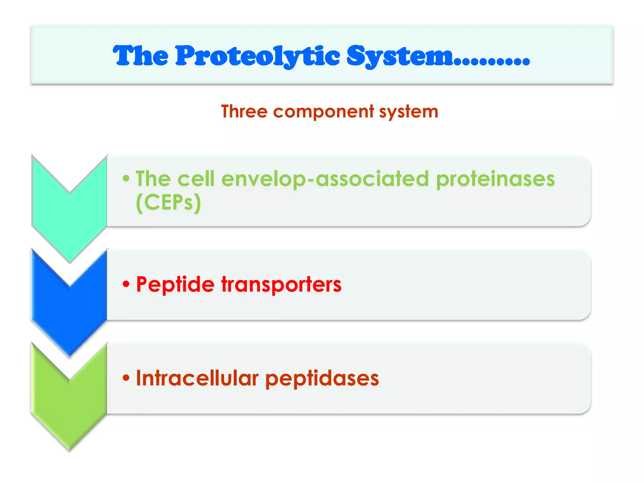 Proteolytic systems in lactic acid bacteria | PPTX