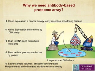 Proteome array - antibody based proteome arrays | PPT