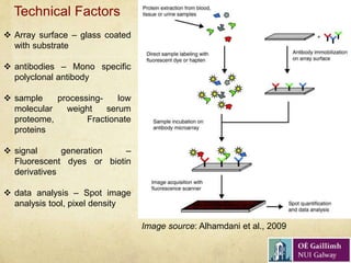 Proteome array - antibody based proteome arrays | PPT