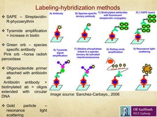 Proteome array - antibody based proteome arrays | PPT