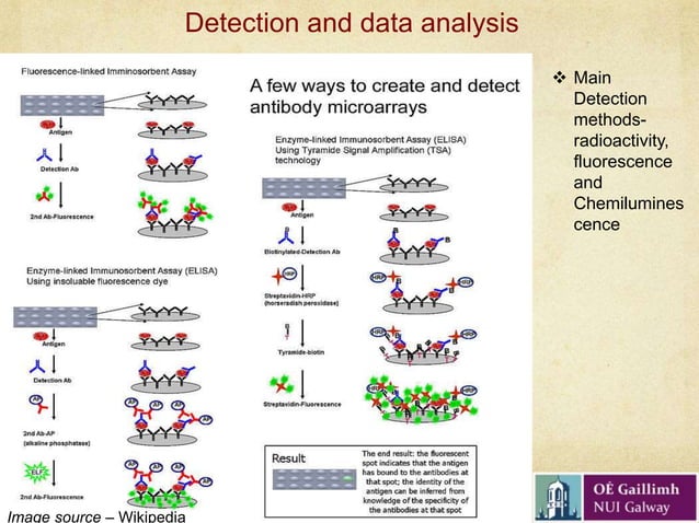 Proteome array - antibody based proteome arrays | PPT