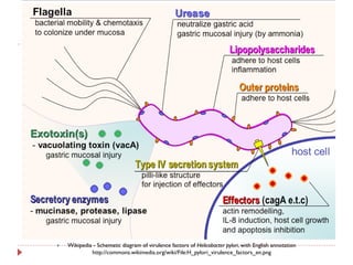 Proteomic strategies for discovery of bacterial virulence factors | PDF