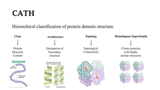 Proteomic databases | PDF