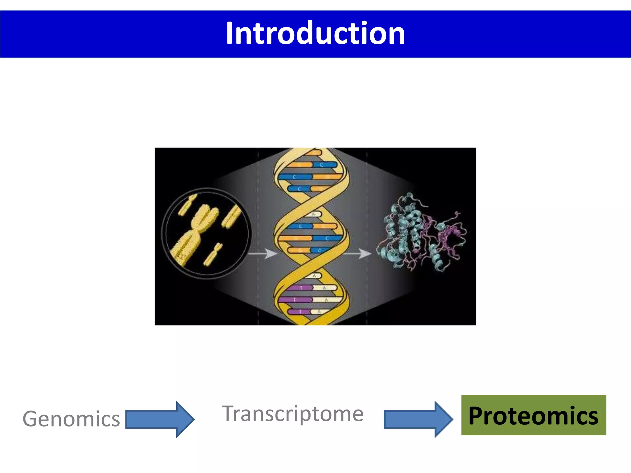 Proteomics | PPTX