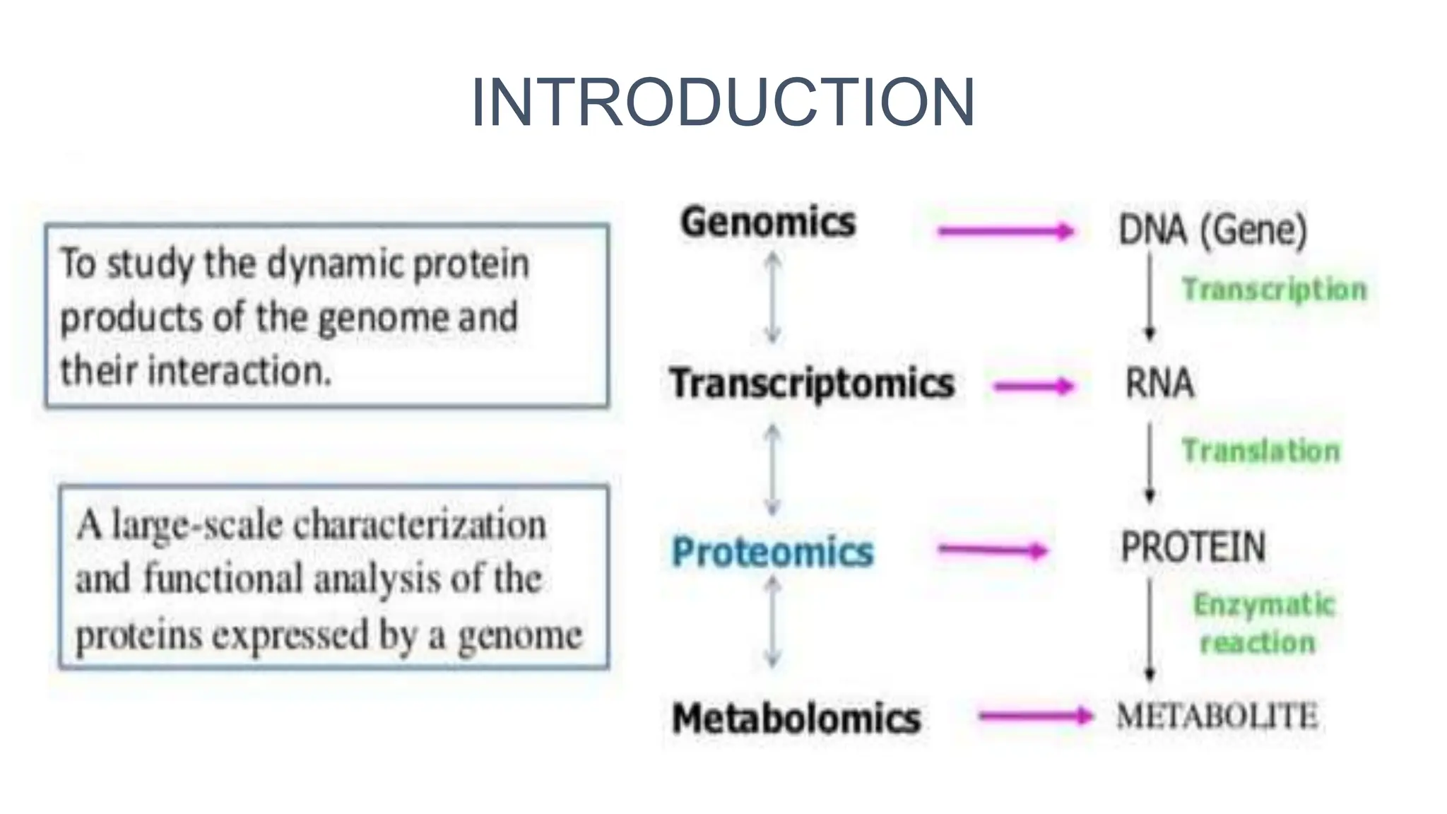 PROTEOMICS IN BLOOD BANKING. DIFFERENT TYPES OF PROTEOMICS | PPTX