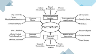 Proteomics: Protein Detection Technology | PPTX