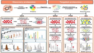 Proteomics: Protein Detection Technology | PPTX