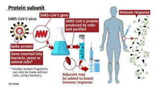 Proteomics: Protein Detection Technology | PPTX | Chemistry | Science